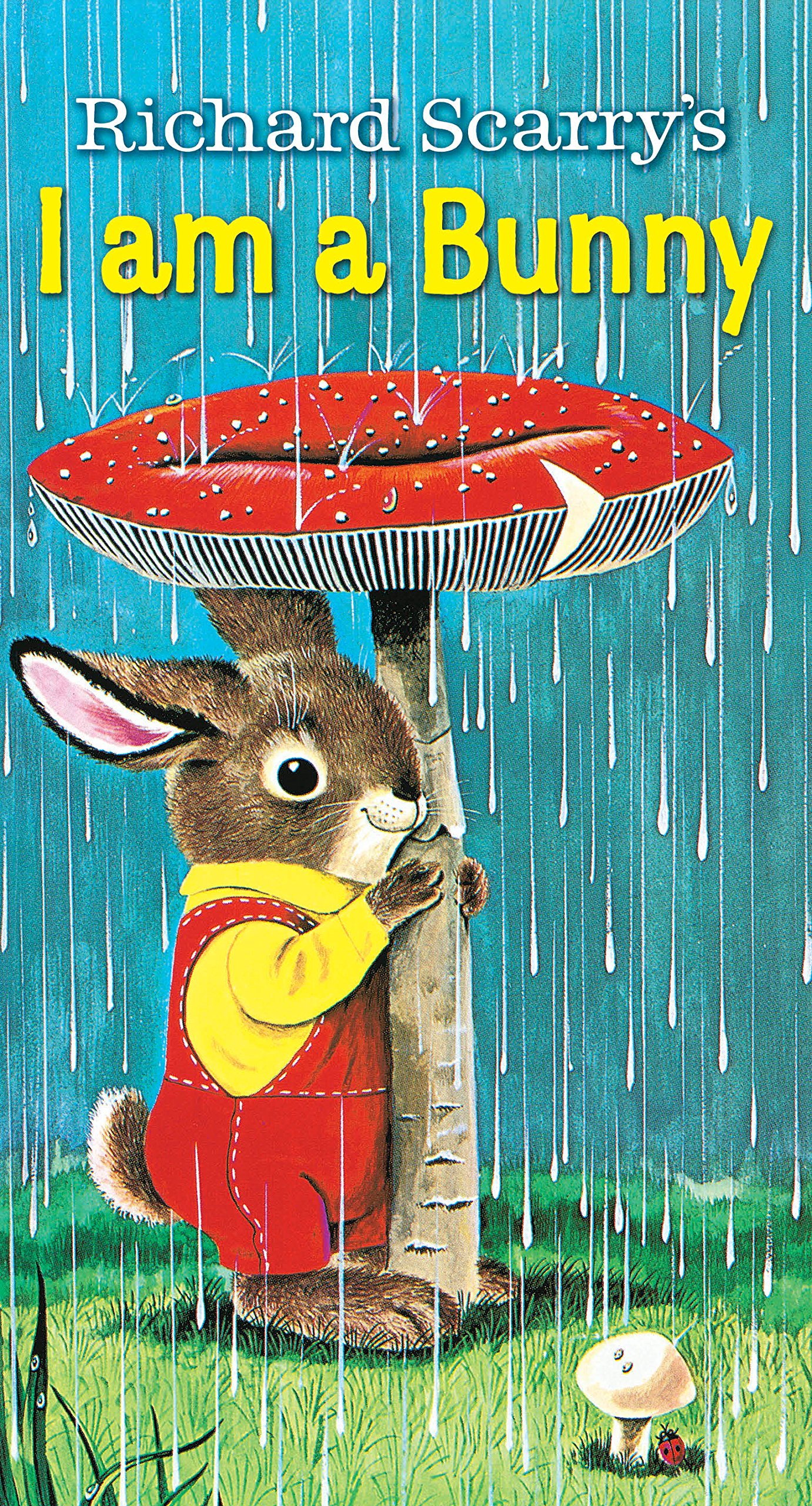 我是一只小兔 I am a Bunny 进口原版 儿童启蒙英语绘本 纸板书