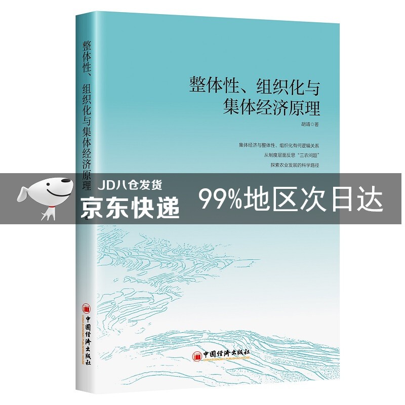 整体性、组织化与集体经济原理
