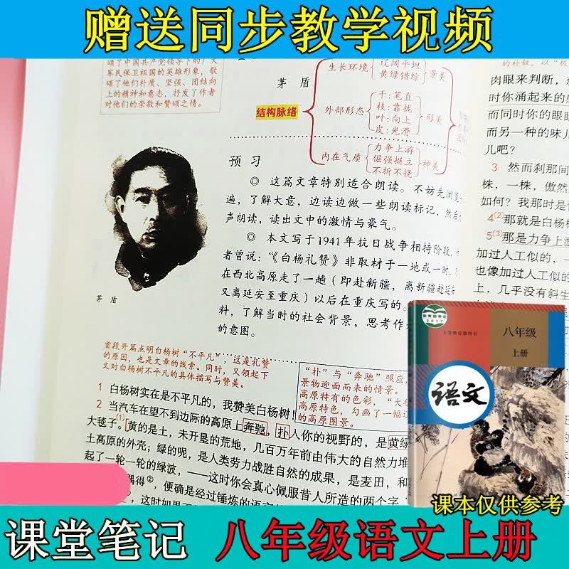 2023新版课堂笔记2023年新版初中语文课堂笔记八8年级上册部编人教版 语文 八年级上