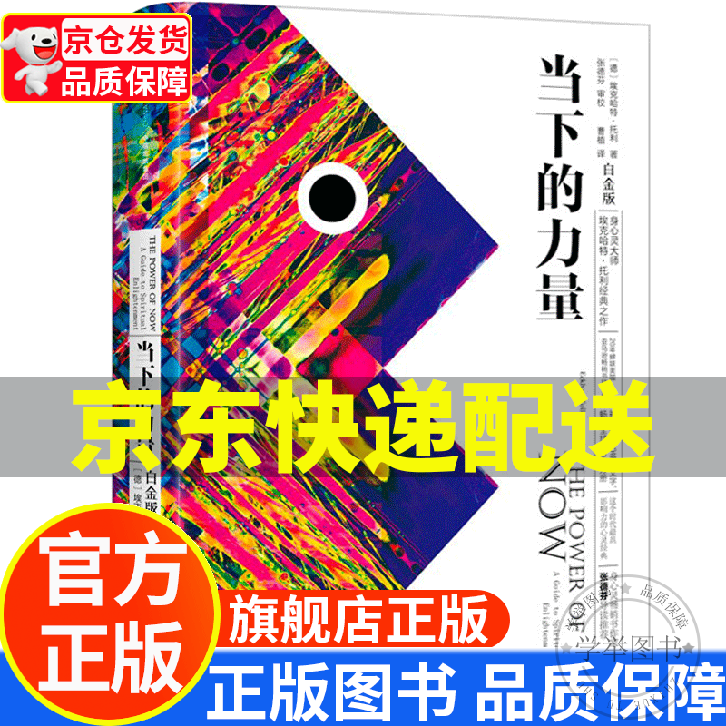 当下的力量（白金版）埃克哈特·托利经典之作