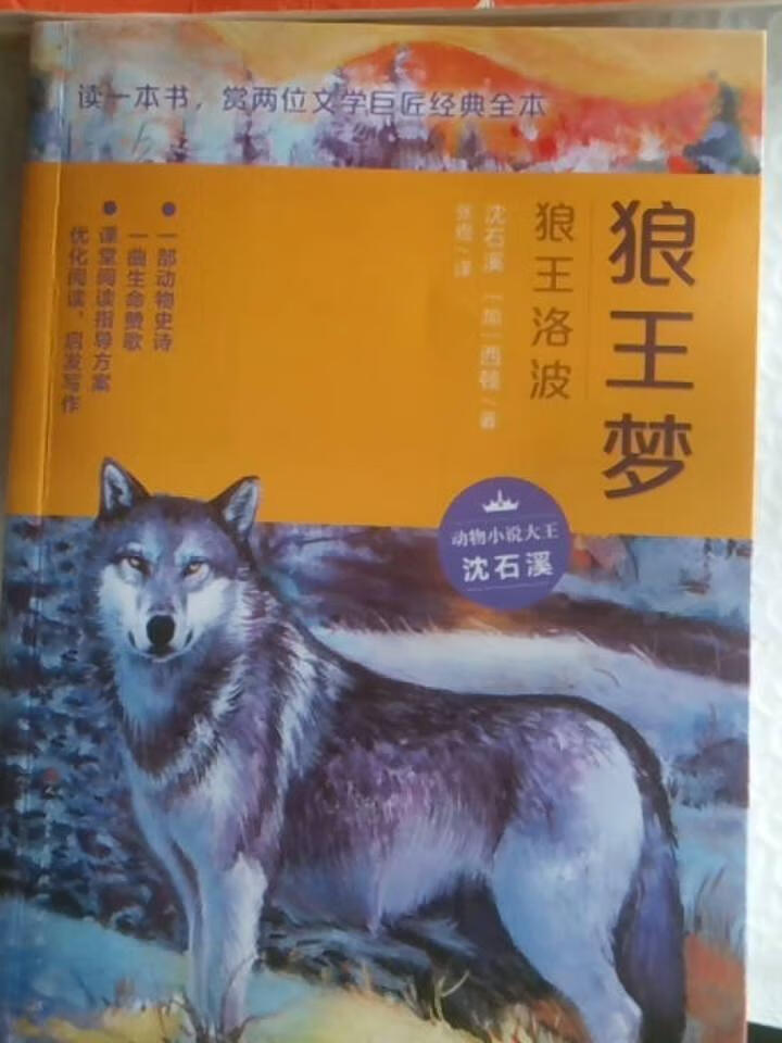 狼王梦·狼王洛波
