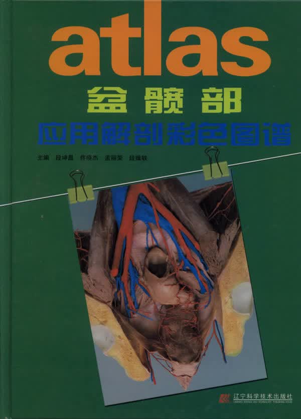 盆髋部应用解剖彩色图谱 段坤昌 主编【书】