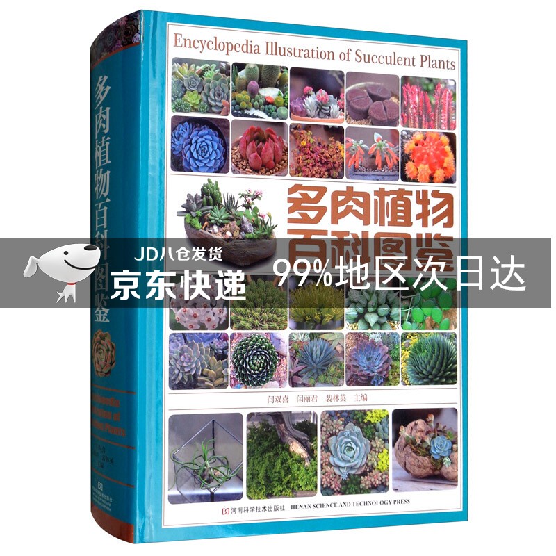 多肉植物百科图鉴