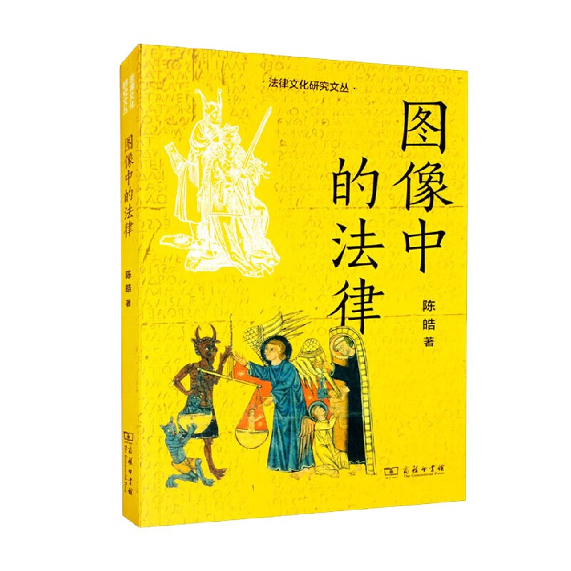 包邮 图像中的法律 陈皓 著 法律 中信书店