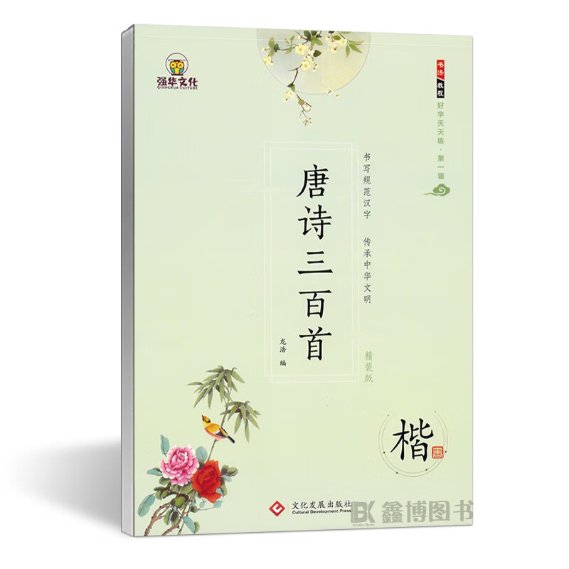 好字天天练名人名言楷书字帖练字成年男生女生字体大气漂亮古诗词硬笔钢笔字帖衡水体练字帖楷书基础练习教程 好字天天练第一辑(唐诗三百首)楷书