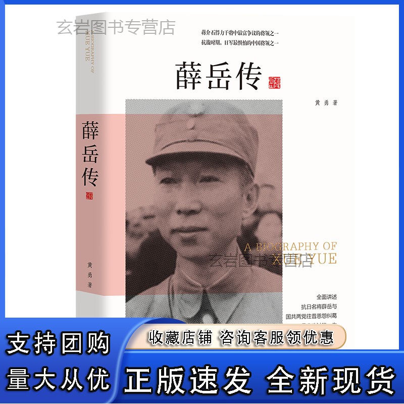 n薛岳传