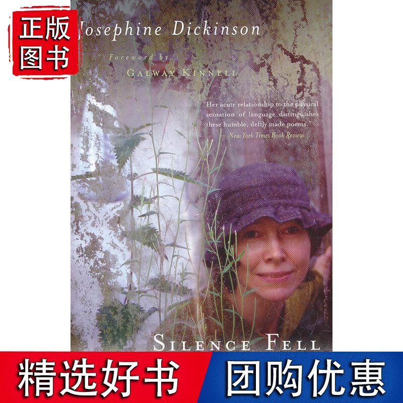 Silence Fell（ISBN=）