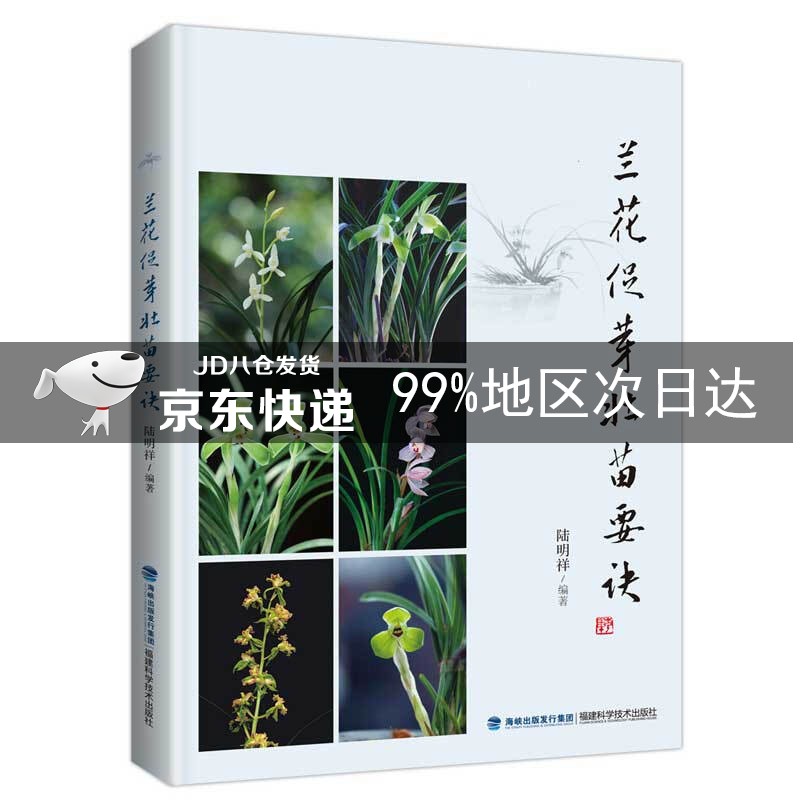 兰花促芽壮苗要诀