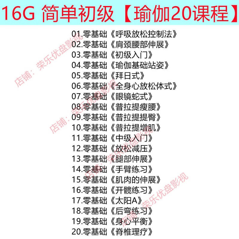 瑜伽教学课程U盘64G 自学零基础初级中级教程MP4优盘 16G 瑜伽(初级20课)