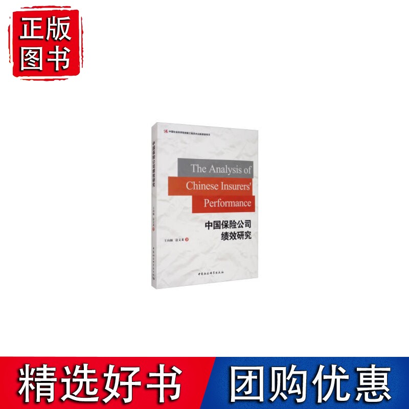 中国保险公司绩效研究