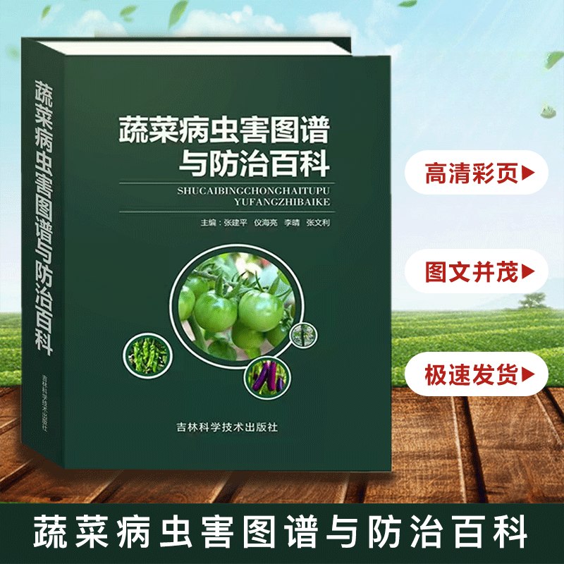 新版蔬菜病虫害图谱与防治百科蔬菜种植蔬菜病害防治蔬菜诊治图谱蔬菜施肥打药技术 肥打药技术