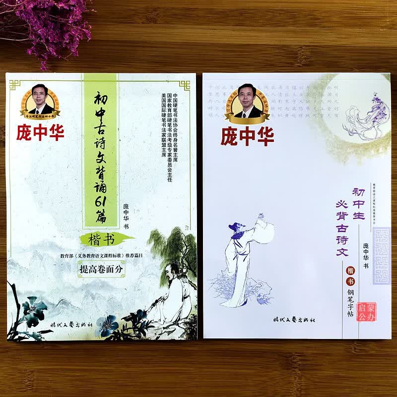 初中生字帖庞中华楷书字帖中学生必背古诗文中考古诗文背诵61篇钢笔正楷字帖789年级古诗词文硬笔书法练字 初中生古诗文背诵61篇+必背古诗文 共2本