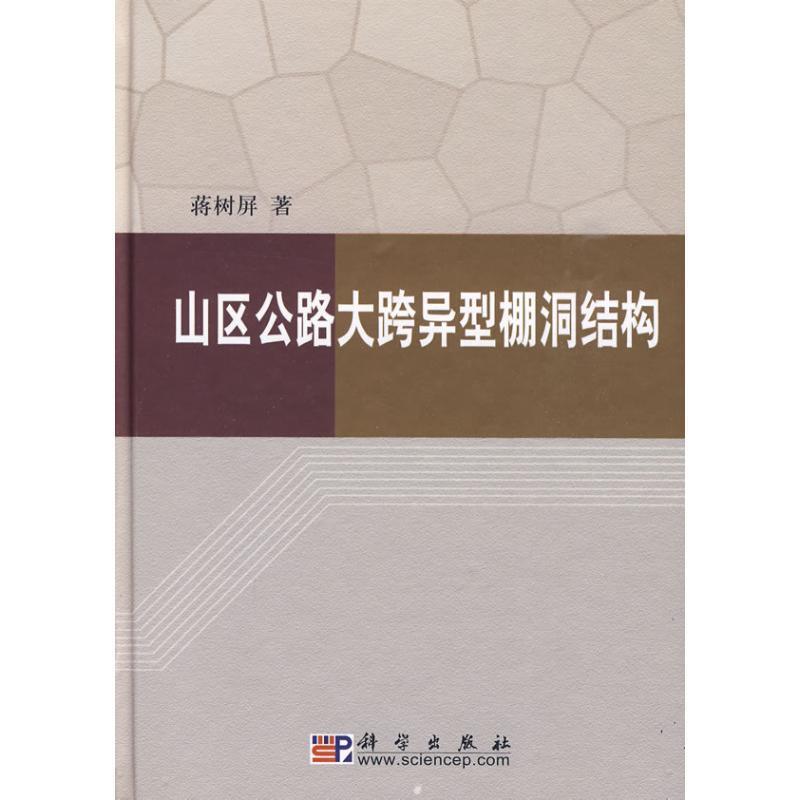 山区公路大跨异型棚洞结构