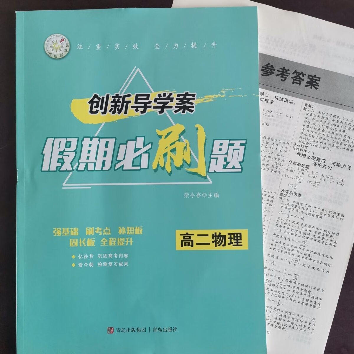 2024新版创新导学案假期必刷题 高二物理