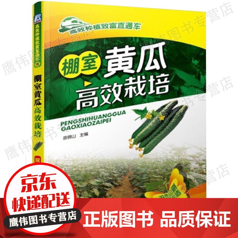 棚室黄瓜高效栽培