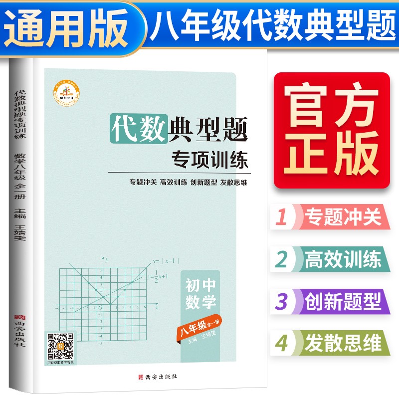 初中典型题专项训练·八年级代数 初中数学必刷题专项训练八年级代数解题方法与技巧高效训练典型题8年级易错题初二综合题