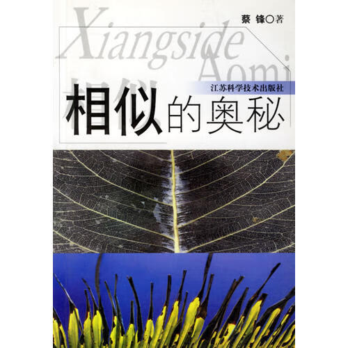 相似的奥秘【精选】