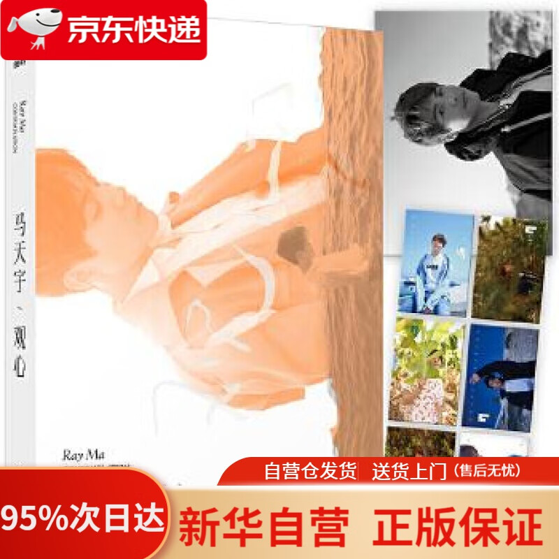 观心 马天宇 中国友谊出版公司 9787505745421
