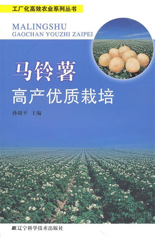 马铃薯高产栽培