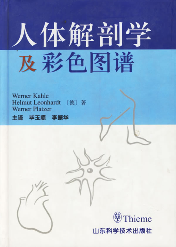 人体解剖学及彩色图谱 (德)卡尔(Kahle.W.) 等编,毕玉顺 等译