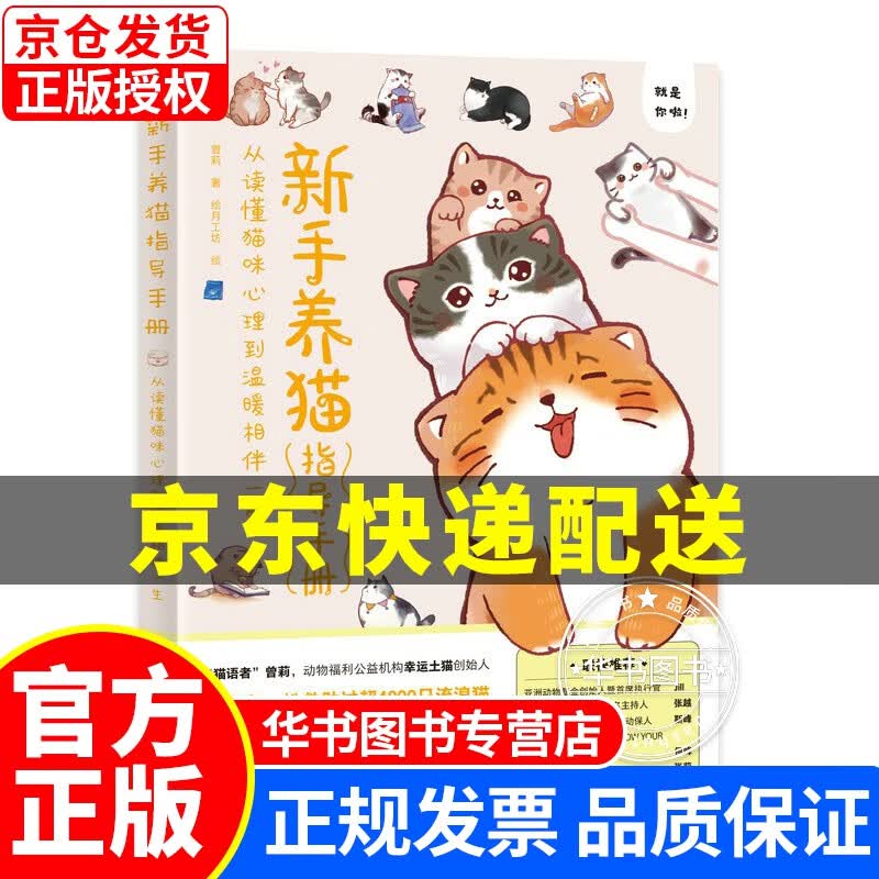 新手养猫指导手册 从读懂猫咪心理到温暖相伴一生