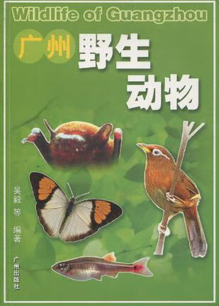 广州野生动物【特惠】