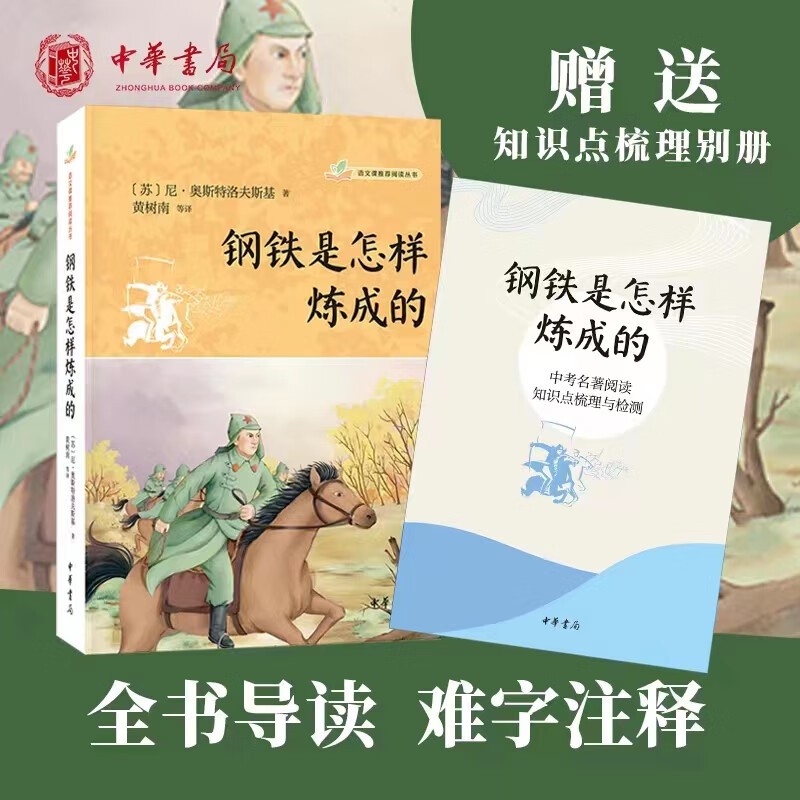 钢铁是怎样炼成的 图书