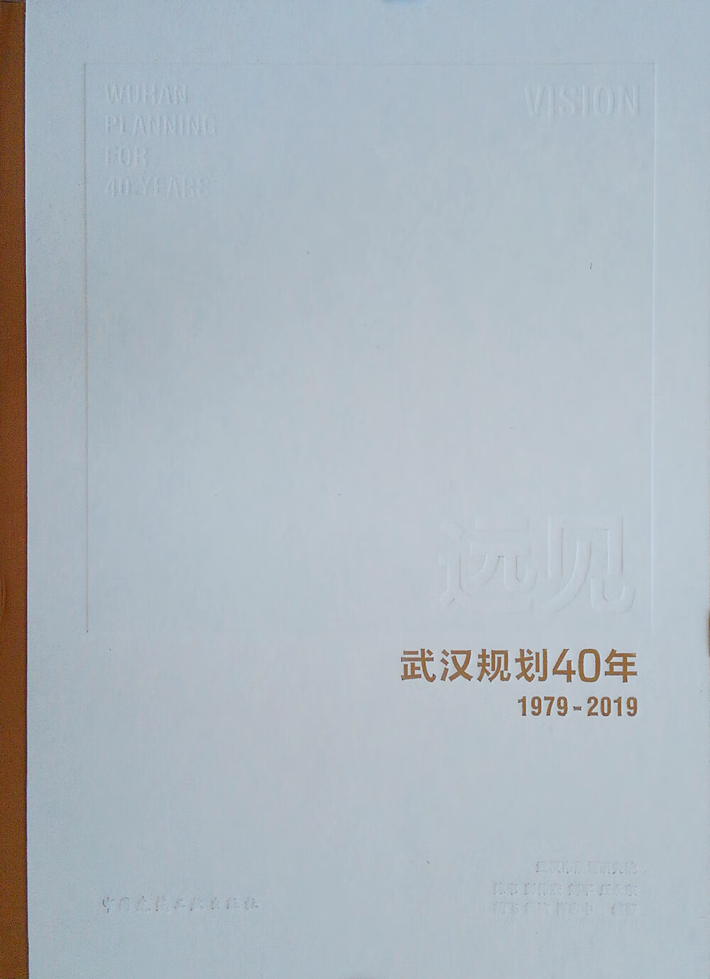 远见 武汉规划40年