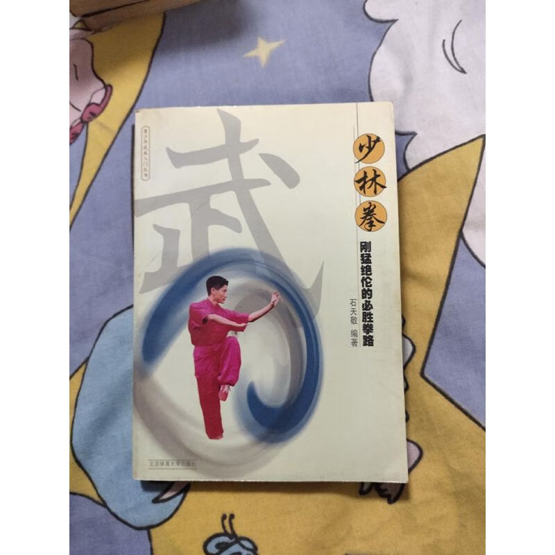 少林拳 刚猛绝伦的必胜拳路 石天敬编著 青少年武术入门书 295页