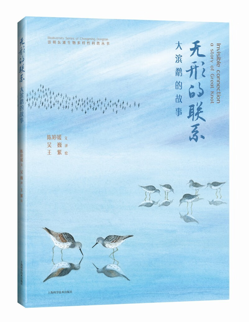 无形的联系——大滨鹬的故事