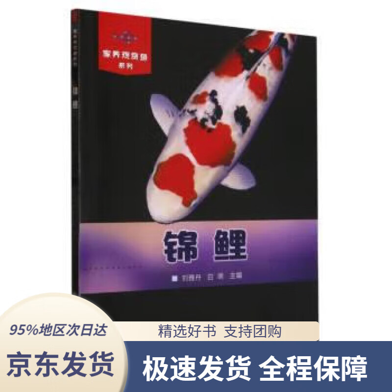 【 京东配送 支持团购】锦鲤家养观赏鱼系列