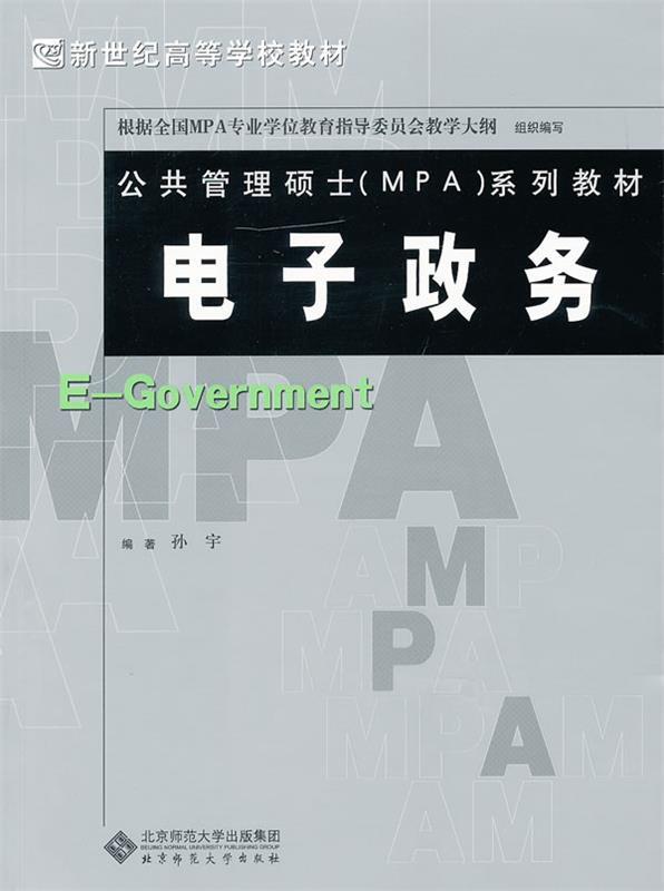 电子政务 孙宇著