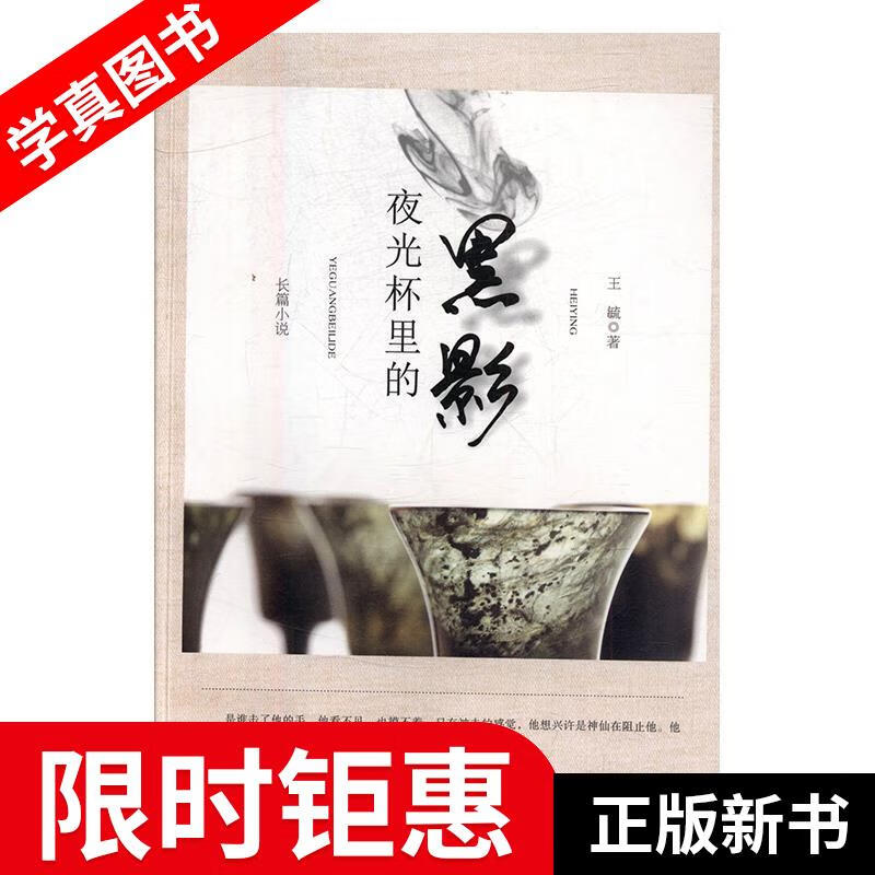 夜光杯里的黑影 王毓 团结出版社