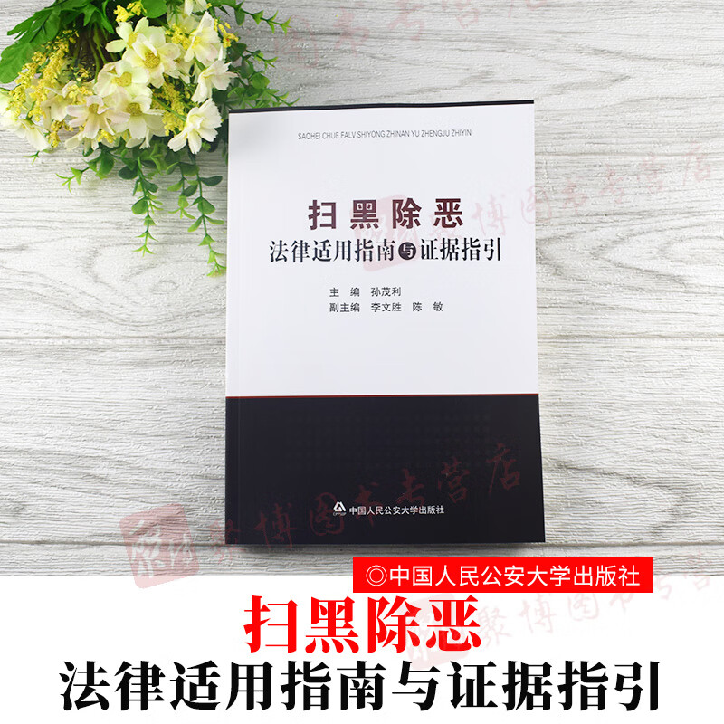 扫黑除恶法律适用指南与证据指引 中国人民公安大学出版社 9787565339196