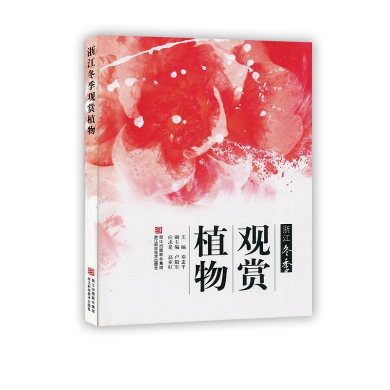 浙江冬季观赏植物