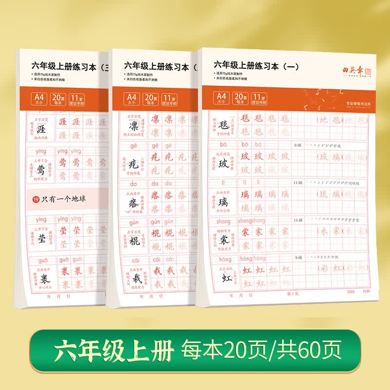 田英章楷书小学生语文同步字帖写字课课练一二三年级下册练字帖小学生专用每日一练拼音笔画笔顺控笔训练字帖硬笔书法练字本 六年级上册练字本