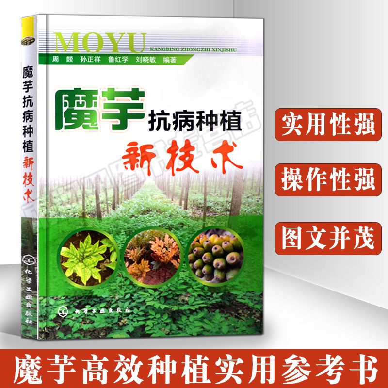 魔芋抗病种植新技术高产魔芋种植技术书鬼芋去肠砂磨芋高效栽培魔芋的种植技术知识大全资料教科书农业种植业