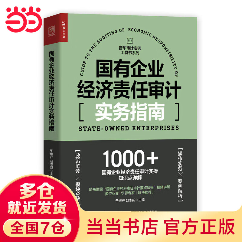 国有企业经济责任审计实务指南