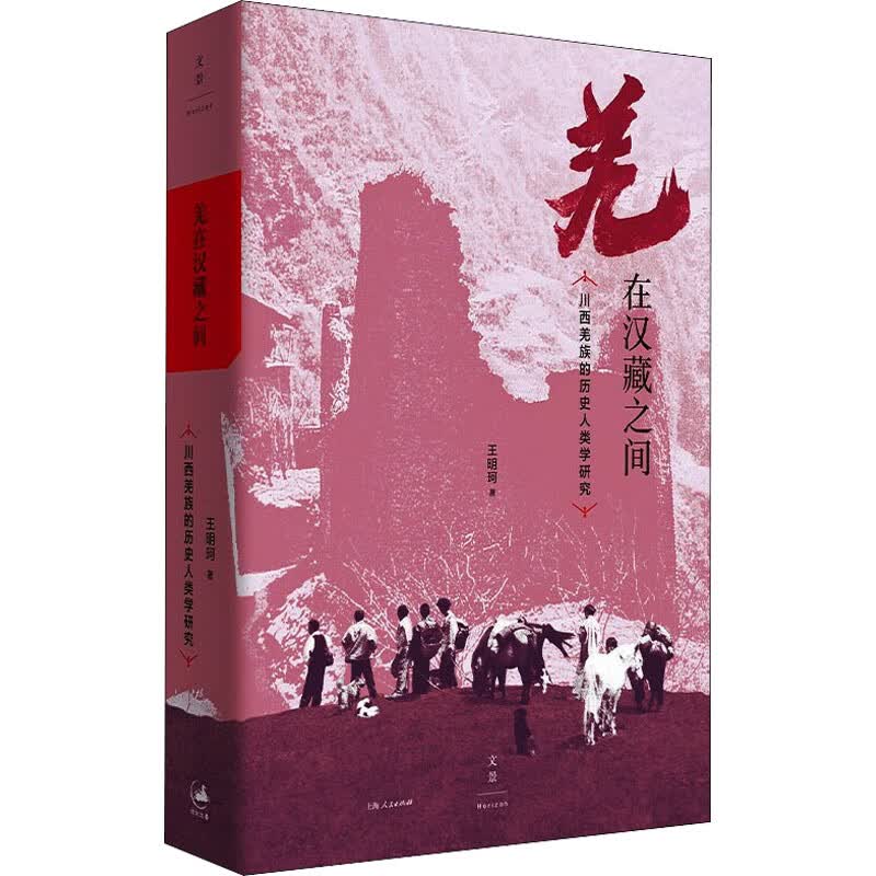 羌在汉藏之间 川西羌族的历史人类学研究 上海人民出版社 王明珂 著