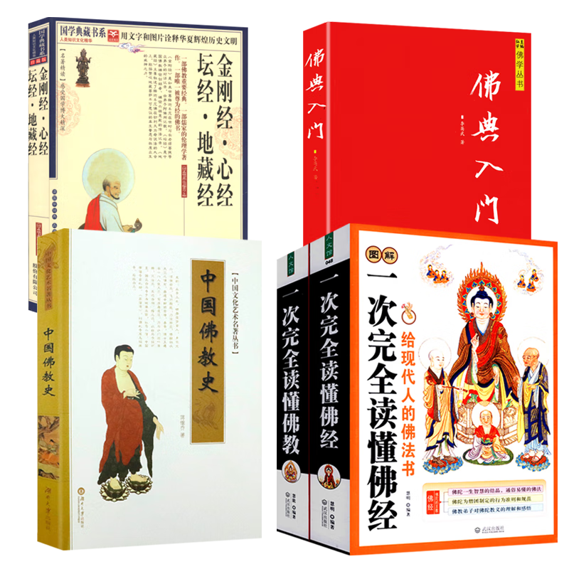【满48包邮】图解一次完全读懂佛经佛教+中国佛教史+金刚经心经坛经地藏经+佛典入门 佛经佛学佛教入门基础知识书籍金刚经心经学禅宗论集 (共5册)定价264.8