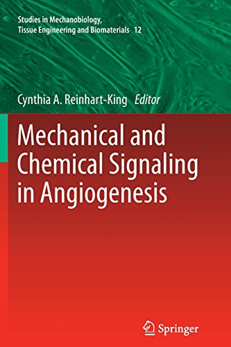 Mechanical and Chemical Signaling in Angiogenesis