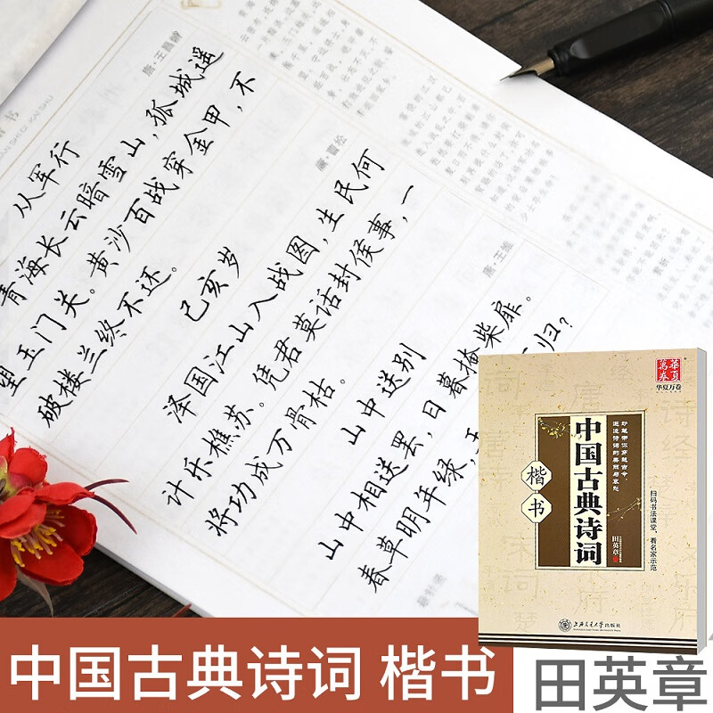 田英章硬笔书法入门教程钢笔字帖 扫码看视频教学 基础训练笔画偏 中国古典诗词(田英章楷书)