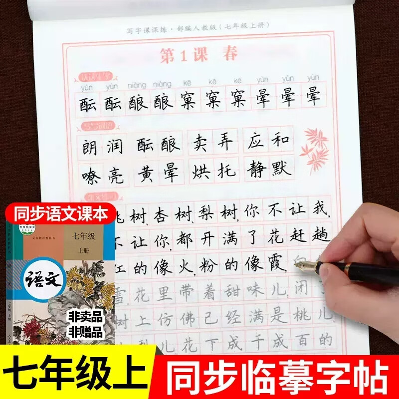 七年级下册语文字帖 初一同步练字帖部编版人教版上下2021年罗扬楷书行楷钢笔练字描红练7年级上 上册语文同步字帖 七年级/初中一年级