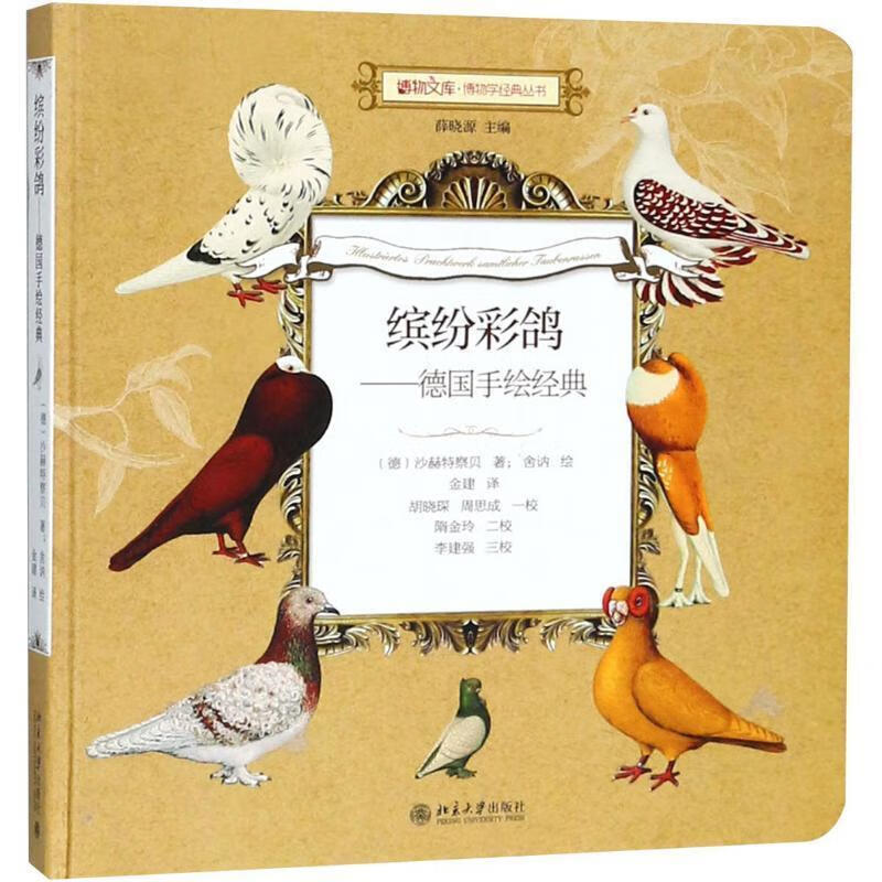 缤纷彩鸽德国手绘经典