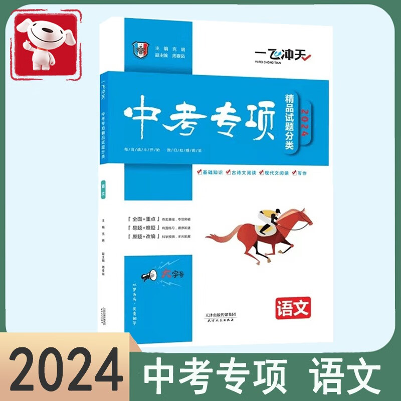2024新版一飞冲天 中考专项 精品试题分类 语文数学英语物理化学 自选 九年级初三天津中考 中考专项 含答案解析 语文 中考专项分类