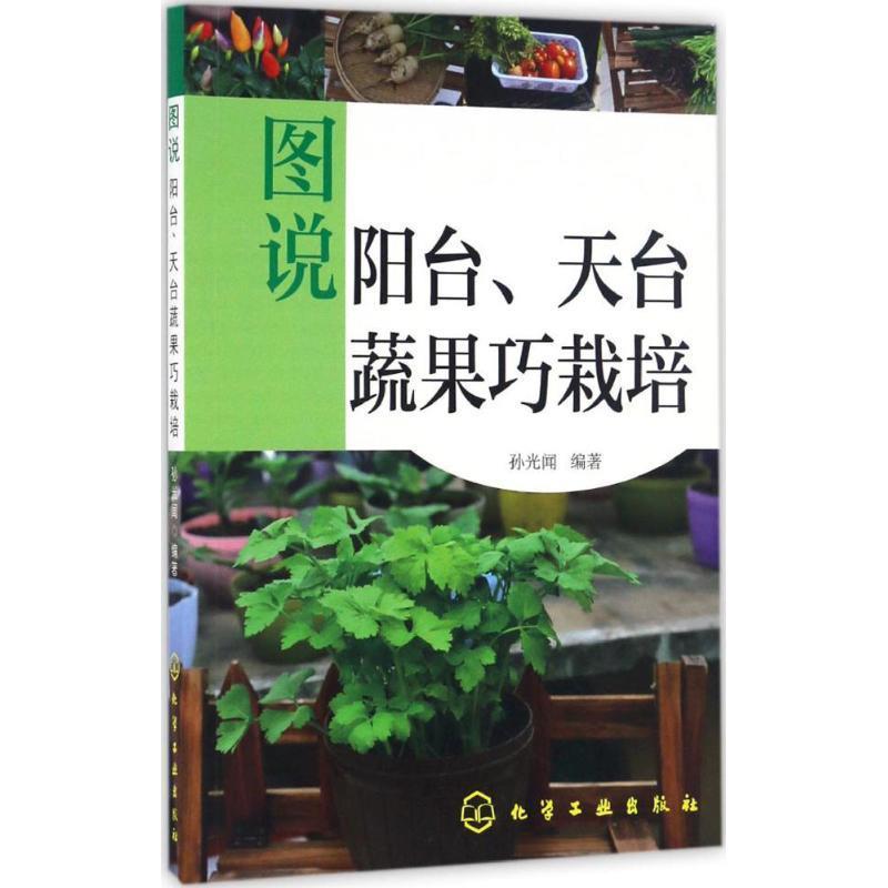 图说阳台、天台蔬果巧栽培