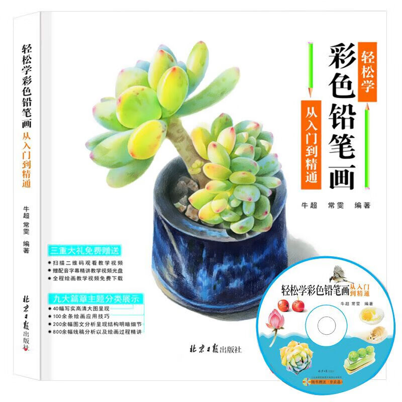 轻松学彩色铅笔画从入门到精通 彩铅画绘画入门教程教材书籍 零基础自学铅笔画书 画画套装简笔画美术手绘