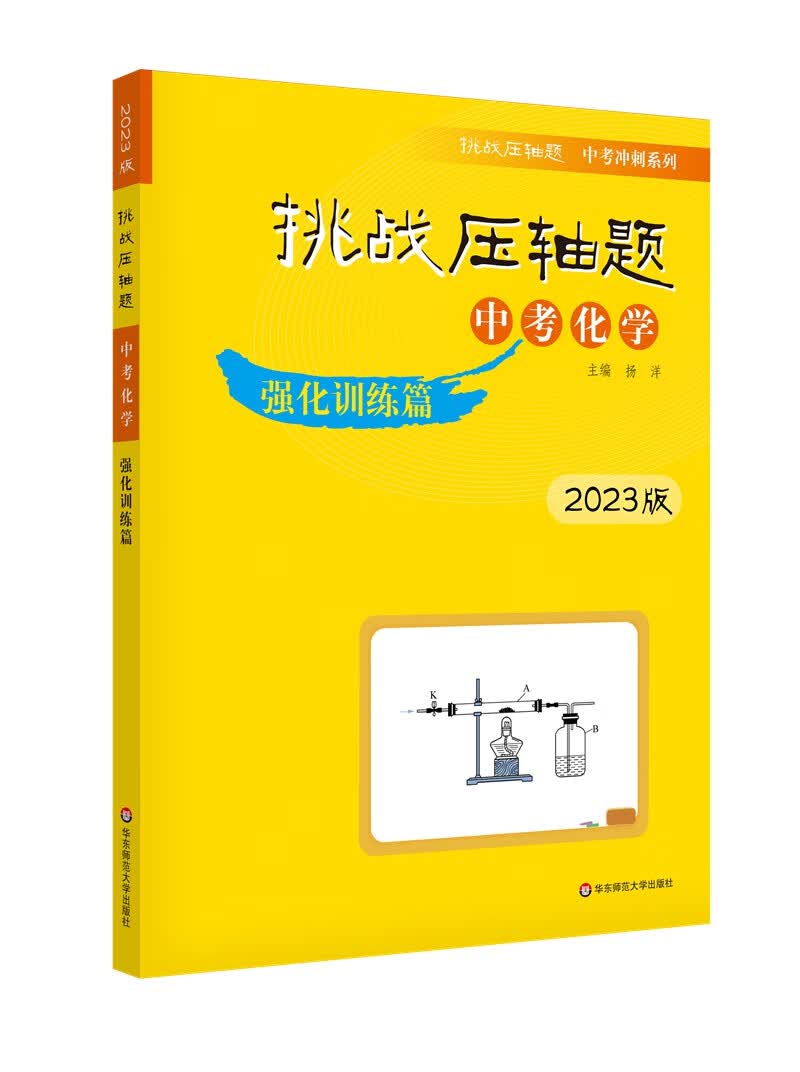 2023挑战压轴题·中考化学—强化训练篇