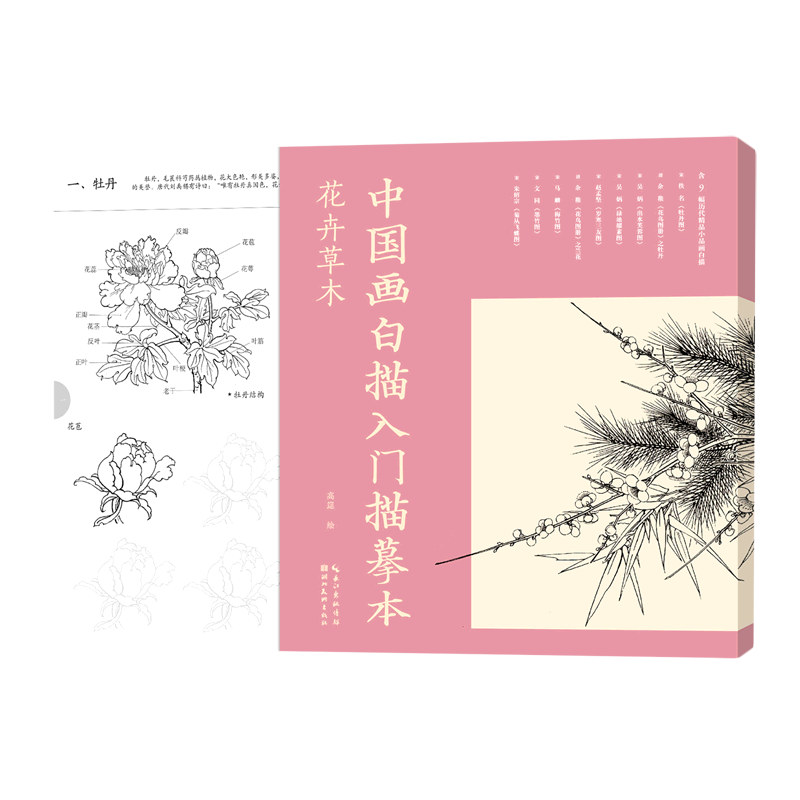 中国画白描入门描摹本(花卉草木)