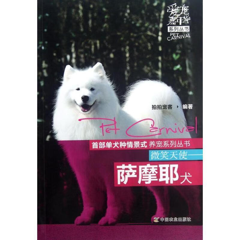 微笑天使 萨摩耶犬